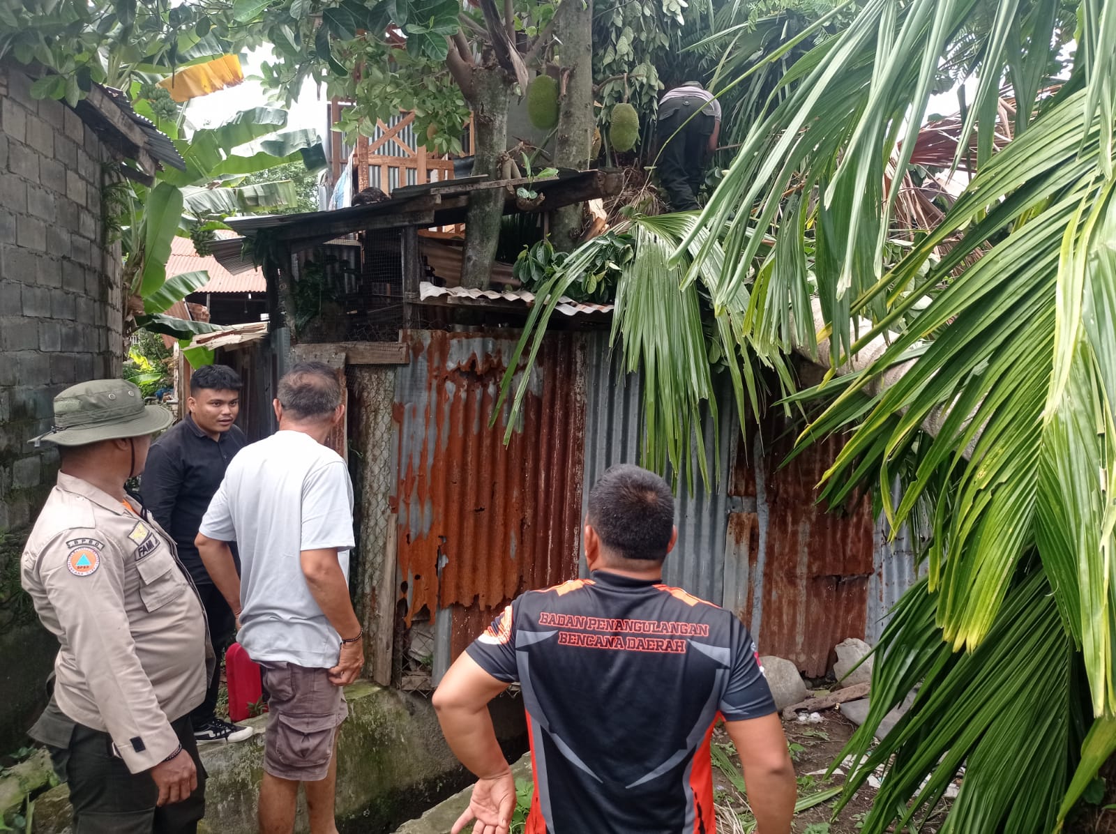 Angin-Puting-Beliung di KOTA-PADANG, SUMATERA-BARAT, 23-07-2023